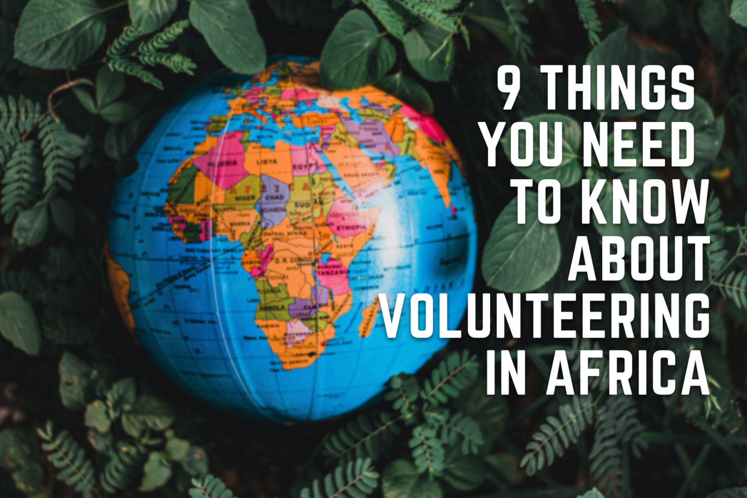 9 Things You Need to Know About Volunteering In Africa – StudentReach